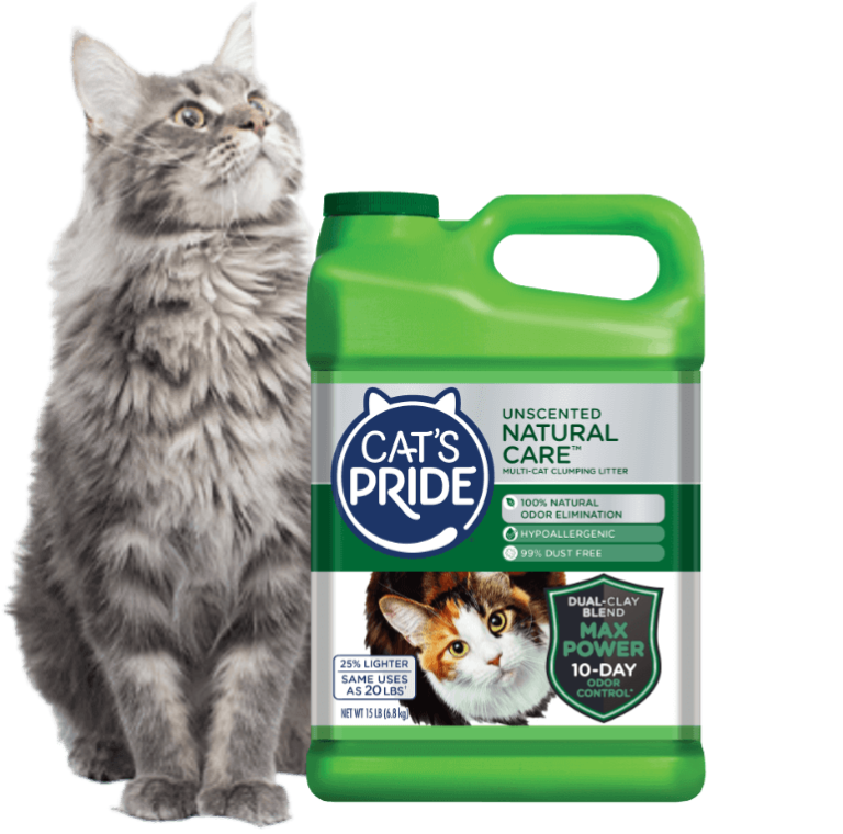 Home - Cat's Pride